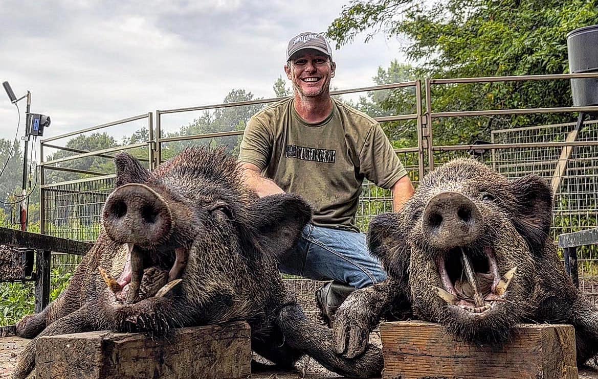 Meet Mississippi’s Yawt Yawt, a Wild Pig’s Nightmare and Hunting Legend in the Making | Pork ...